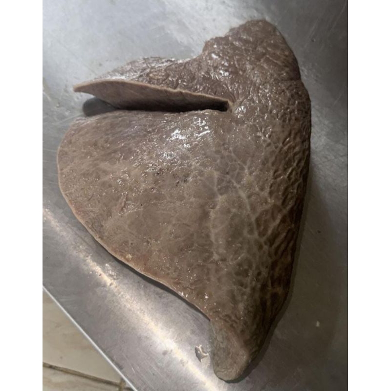 Jual paru sapi mateng | Shopee Indonesia