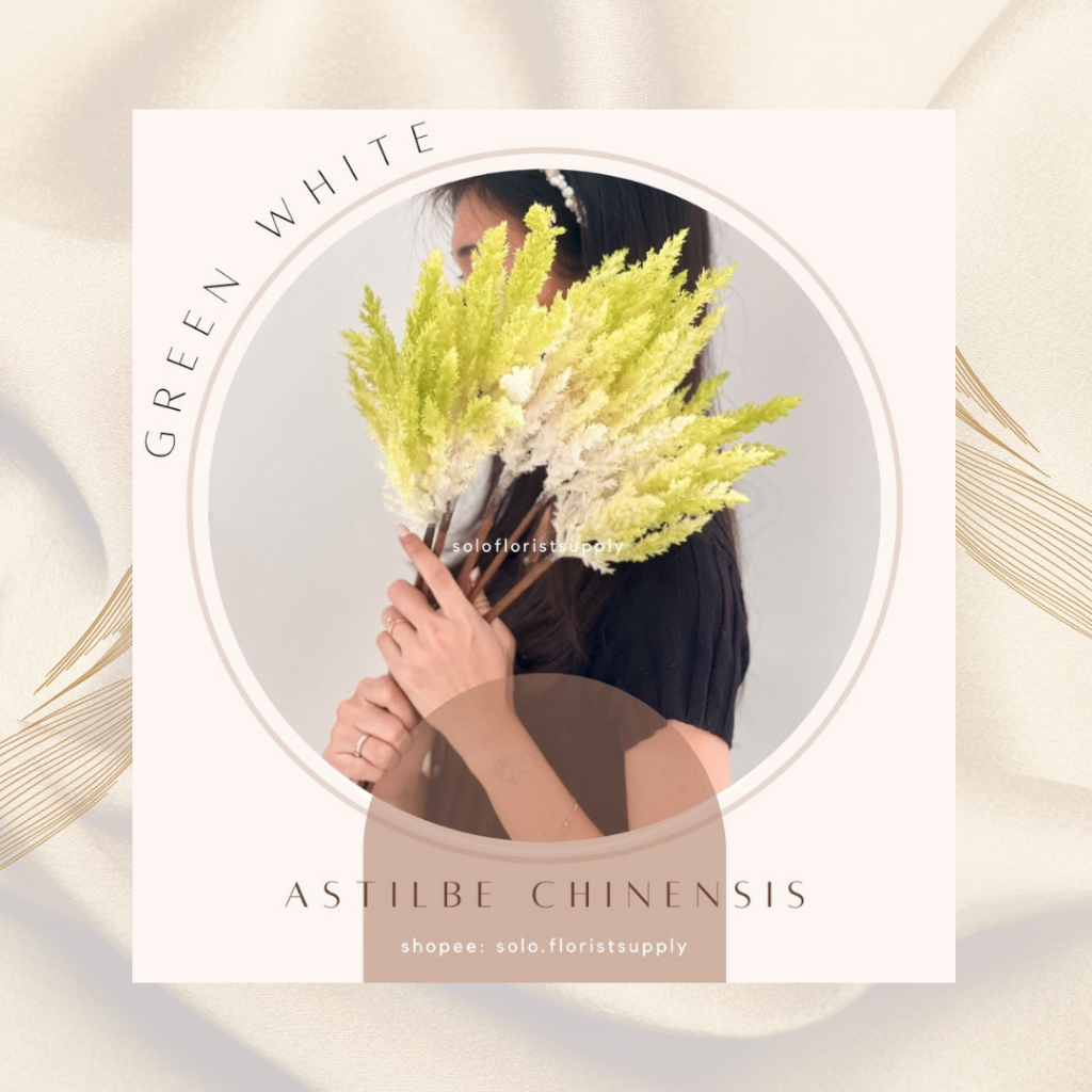Jual ASTILBE CHINENSIS ARTIFICIAL Bunga Astilbe Tangkai Panjang ...