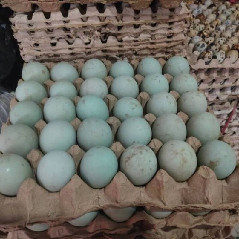 Jual TELUR BEBEK PILIHAN | Shopee Indonesia