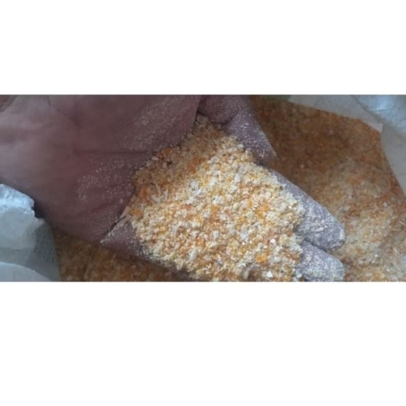 Jual JAGUNG GILING MENIR PAKAN TERNAK 5 kg | Shopee Indonesia