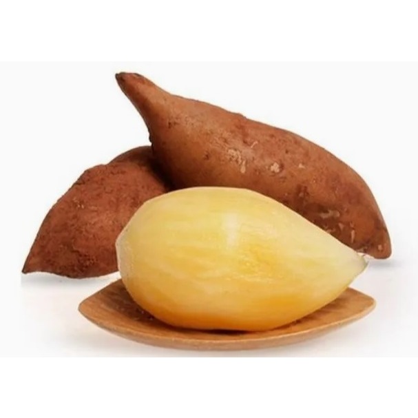 Jual UBI YAKON, UMBI YAKON,UBI YACON ASLI WONOSOBO FRESH (STOCK ...