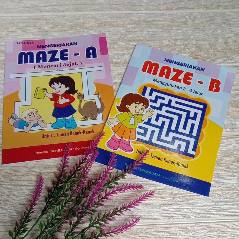 Jual 1 paket ( isi 2) Buku kumpulan maze / labirint / mencari jejak TK ...