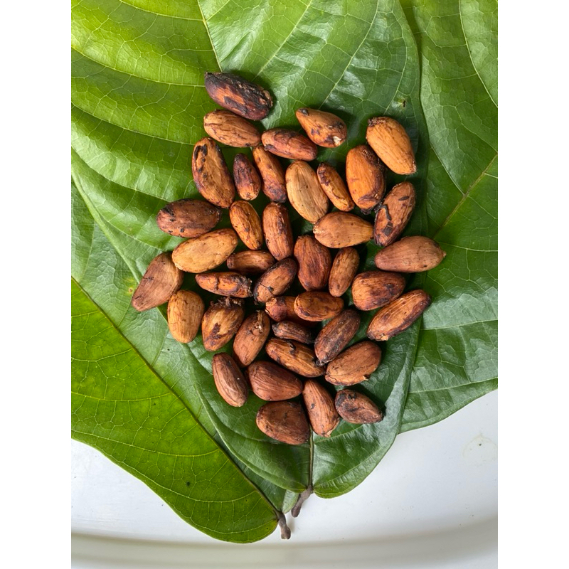 Jual BIJI COKLAT KAKAO KERING PREMIUM | Shopee Indonesia