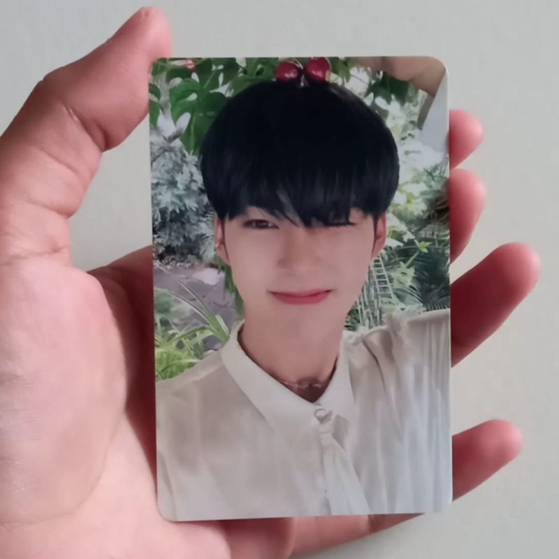 Jual Photocard Official Zerobaseone Pc Sung Hanbin ZB1 Trading Card han bin cherry ready stock ...