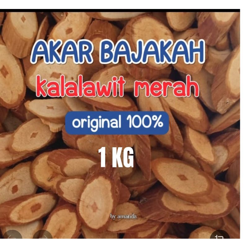 Jual Akar Bajakah kalawit merah asli kalimantan Berat 1kg | Shopee ...