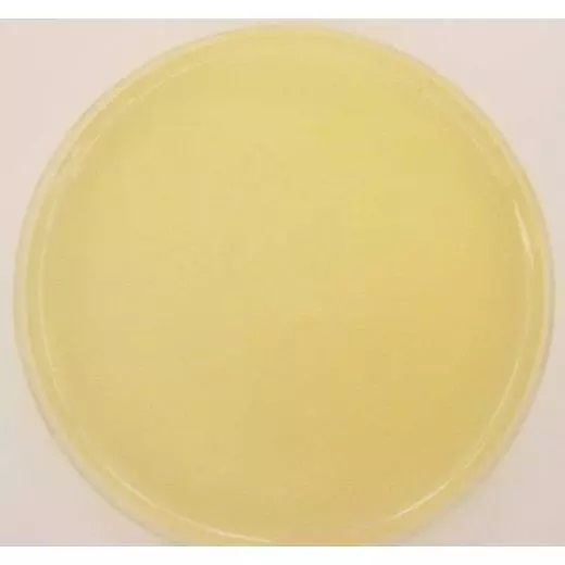 Jual Nutrient Agar Merck Repack Kemasan Per 1 Gram | Shopee Indonesia