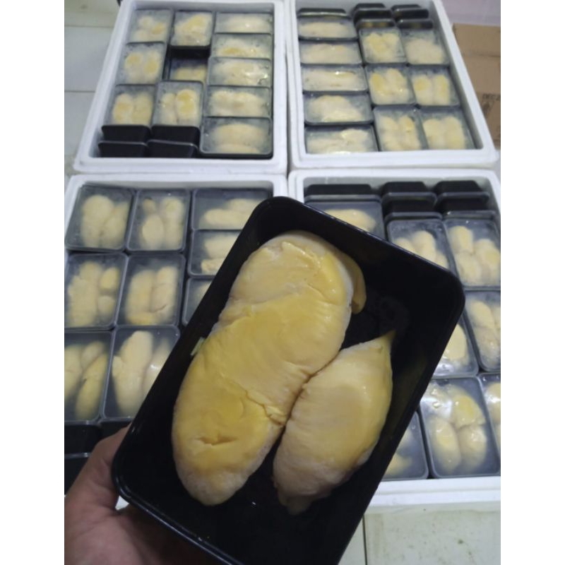 Jual DURIAN MONTONG BALI | Shopee Indonesia