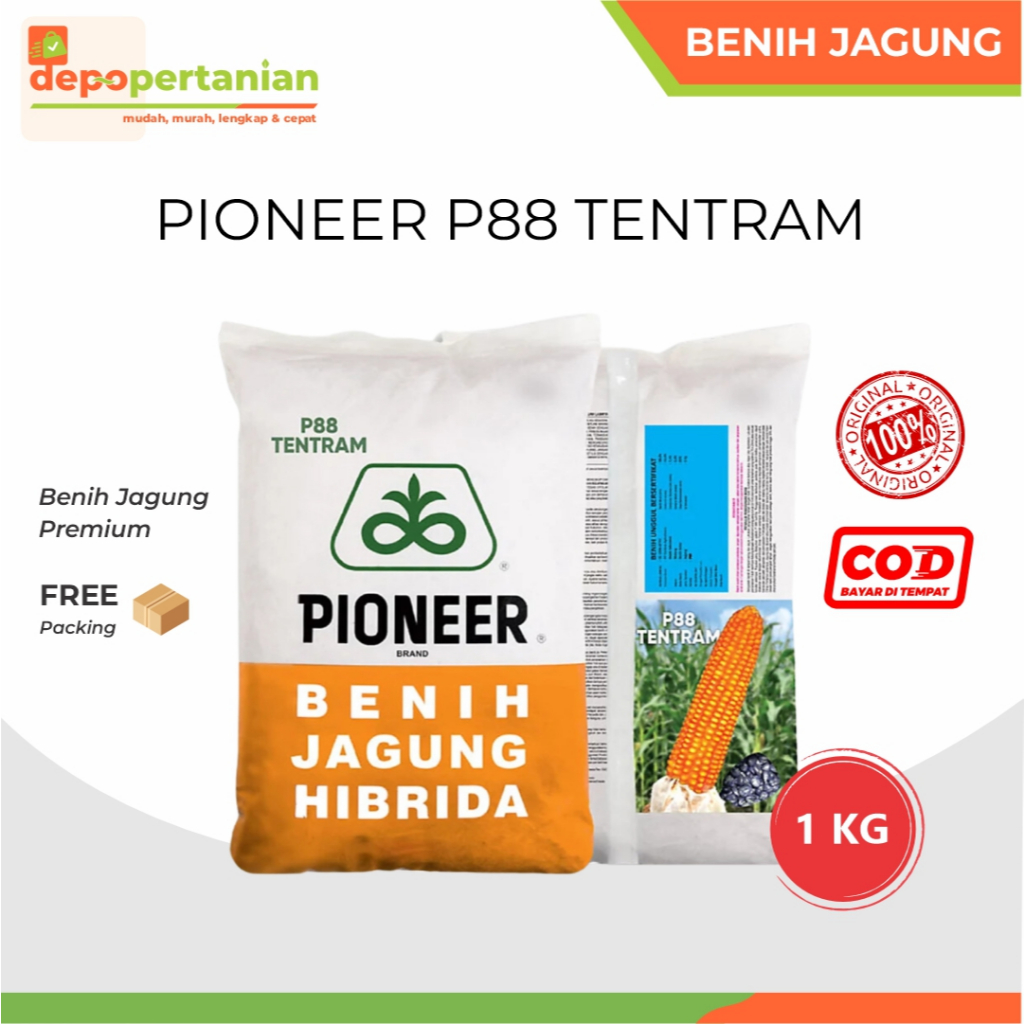 Jual Depo Pertanian - Pioneer P88 Tentram Benih Jagung 1 KG | Shopee ...