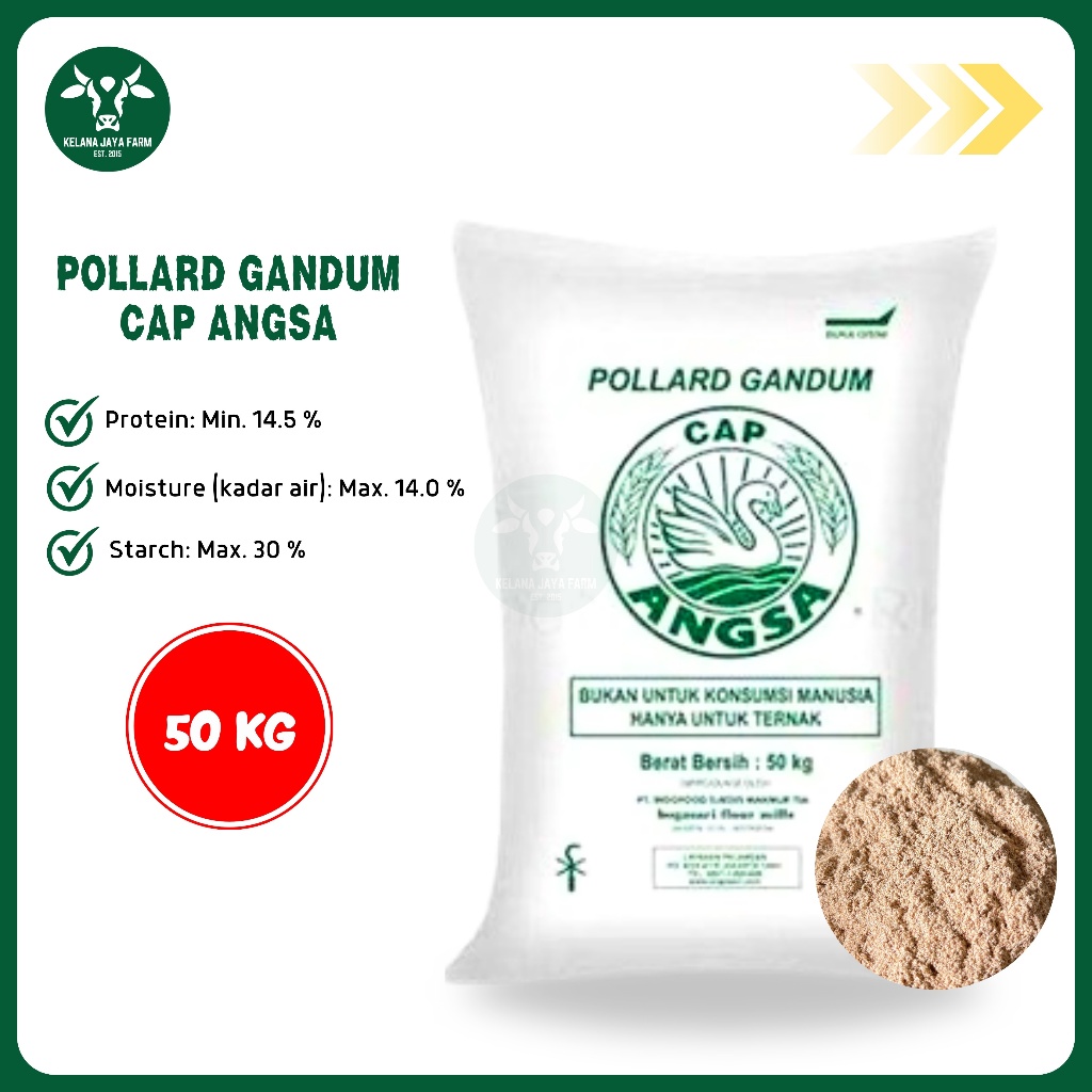Jual Pollard Gandum Cap Angsa 50 Kg | Shopee Indonesia