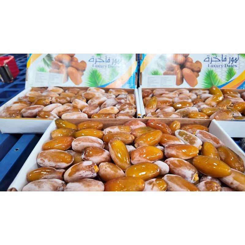 Jual Kurma Ruthob Libya 1kg Kurma Muda Ruthob 1Kg ruthob ruthab kurma ...