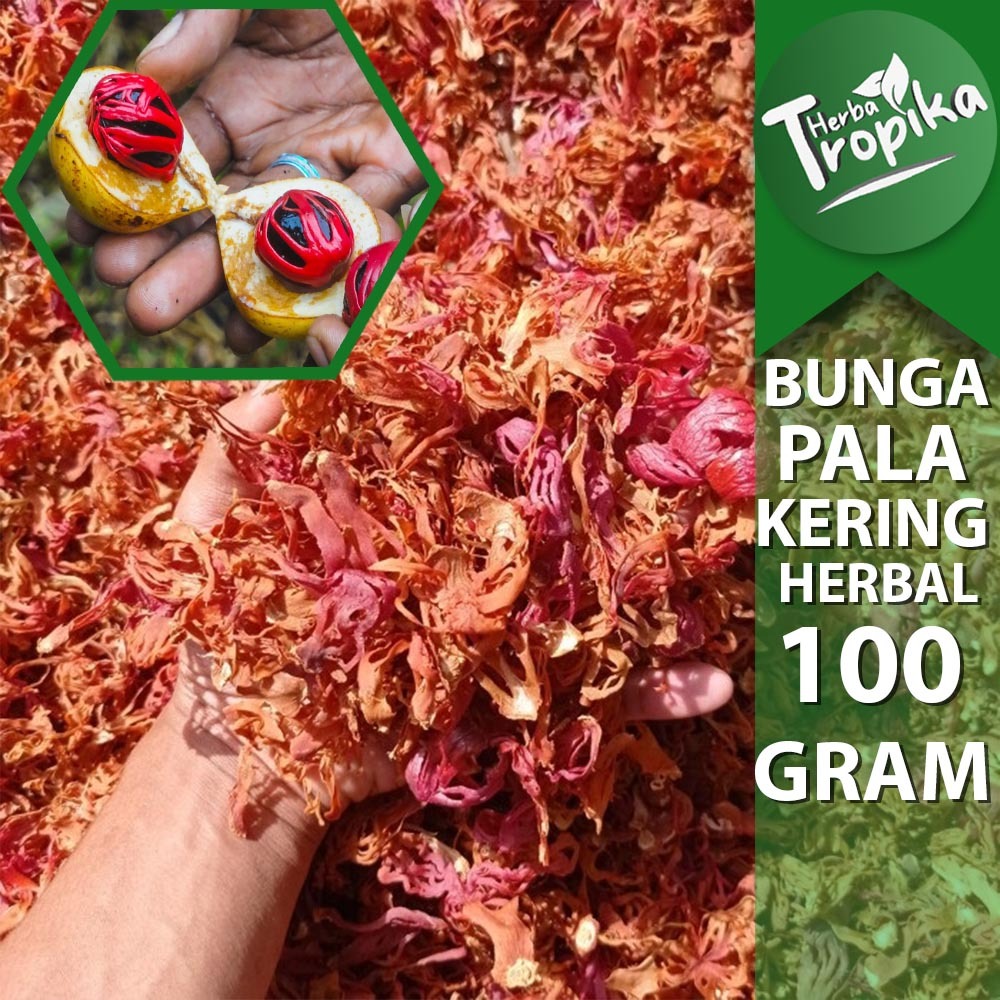Jual Bunga Pala Sempra fuli kering 100 gram rempah dan herbal alami ...