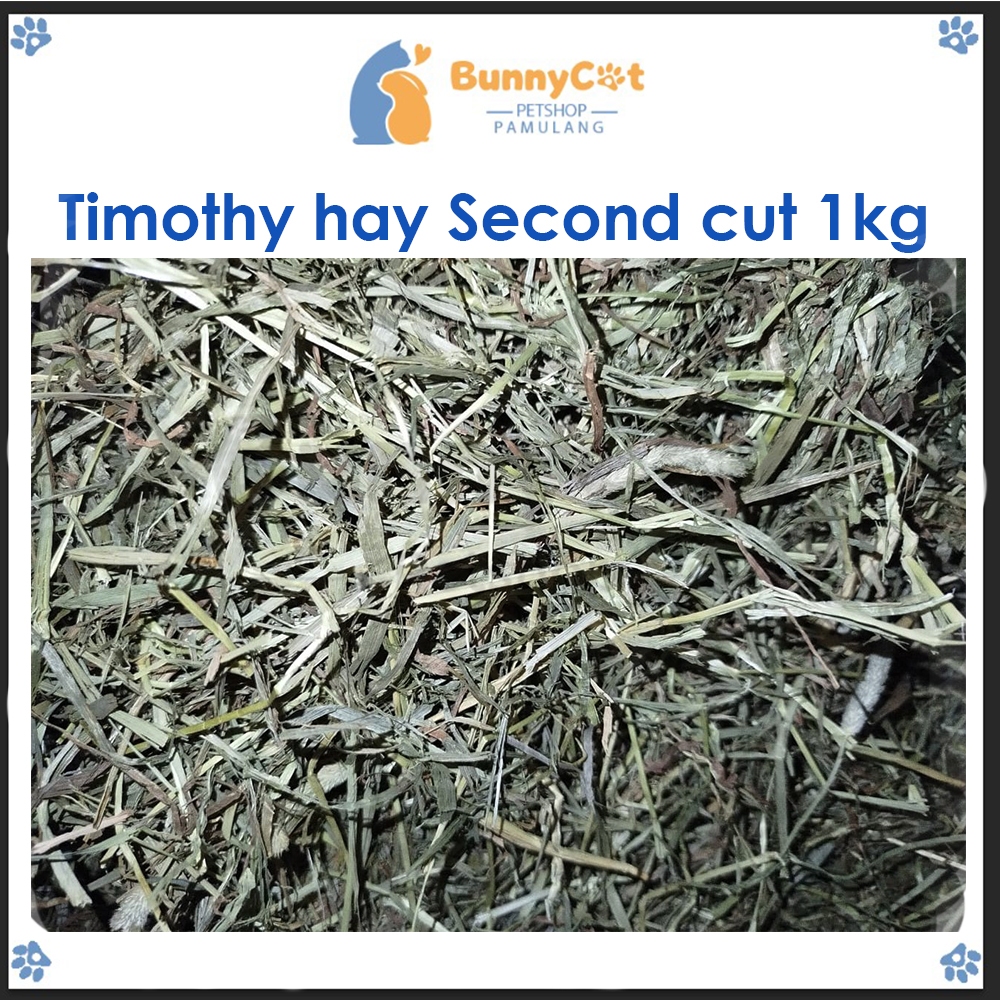 Jual Timothy Hay 2nd cut 1kg Rumput Hay makanan Kelinci | Shopee Indonesia