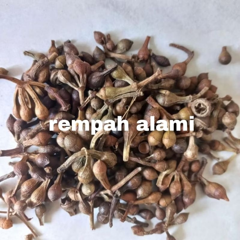 Jual Ceplik Sari Albak 100/200gr | Shopee Indonesia