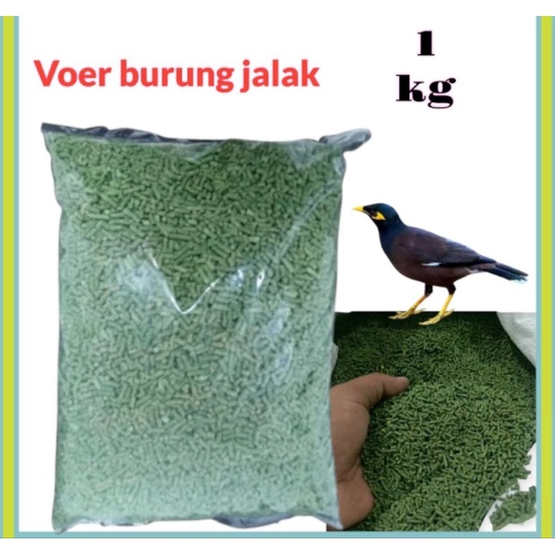 Jual Pur pakan burung voer hijau 521 untuk burung kutilang trucuk dan ...