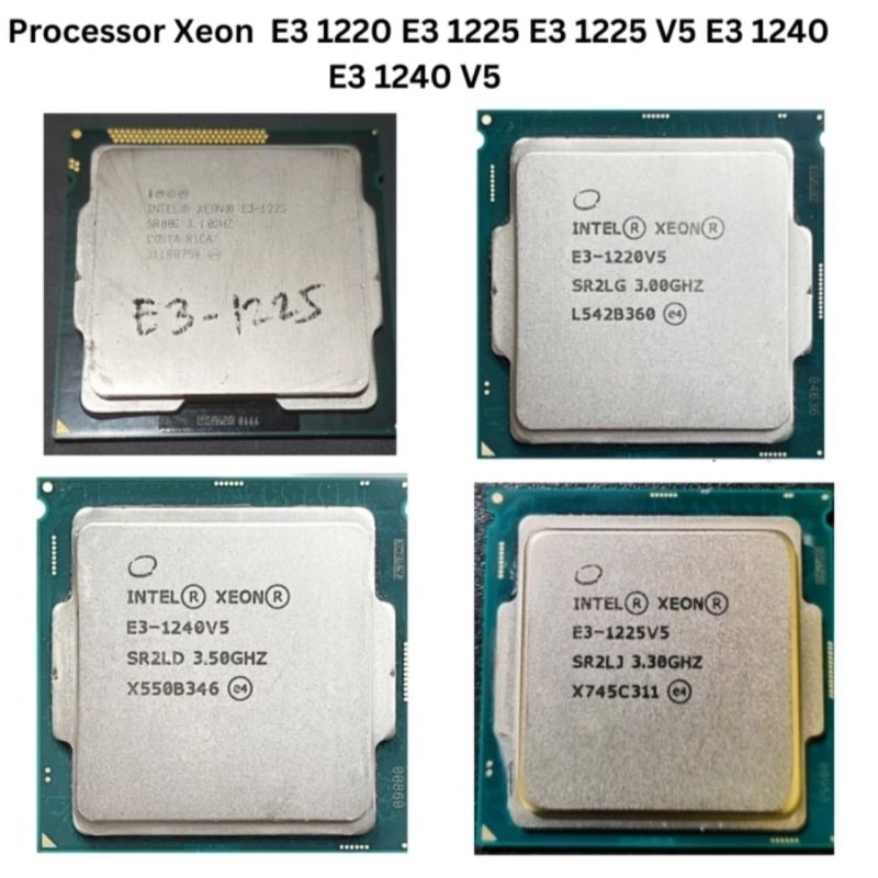 Jual Processor Xeon E3-1220, E3-1225, E3-1225 V5, E3-1240, E3-1240 V5, E3-1275 V2 | Shopee Indonesia