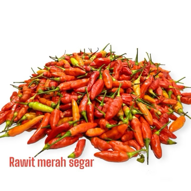 Jual Cabe Rawit Merah Fresh Pilihan 1kg | Shopee Indonesia