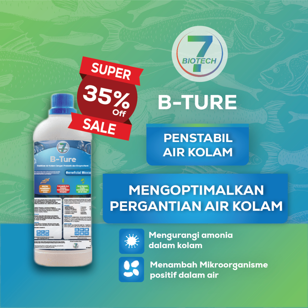 Jual 7Biotics B-TURE Probiotik ikan penstabil air dengan tambahan enzim ...