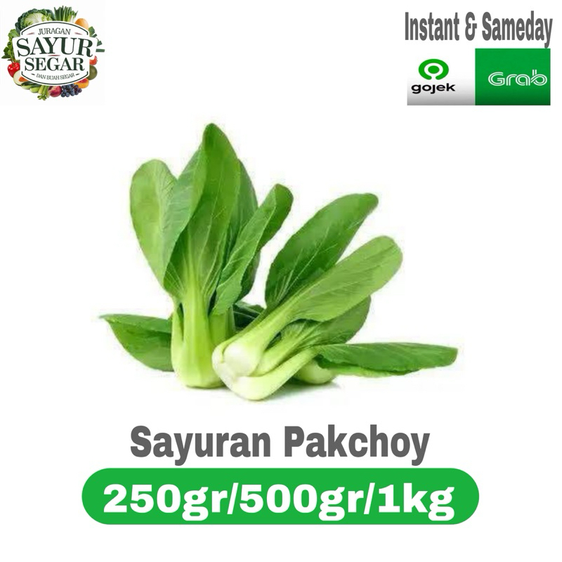 Jual Sawi pakcoy/pakchoy segar 250gr/500gr/1kg INSTANT | Shopee Indonesia