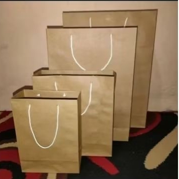 Jual (12 pcs) paper bag kraft polos uk 15x20, 20x25, 25x35,30x40 ...