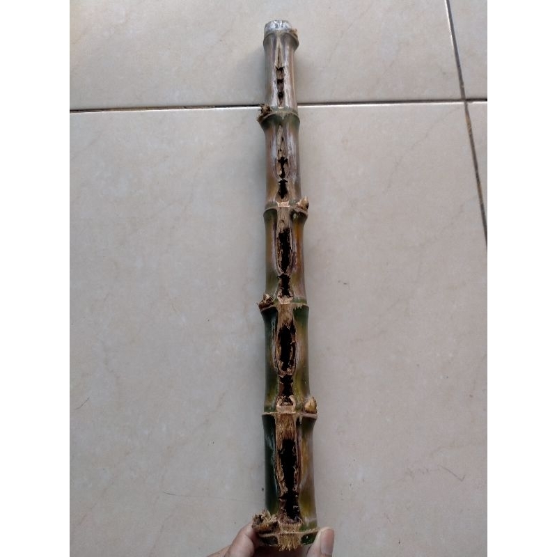 Jual BAMBU UNIK COMBONG 5 SAP/TONGSER/RUAS PENDEK/COMBONG MENARA ...