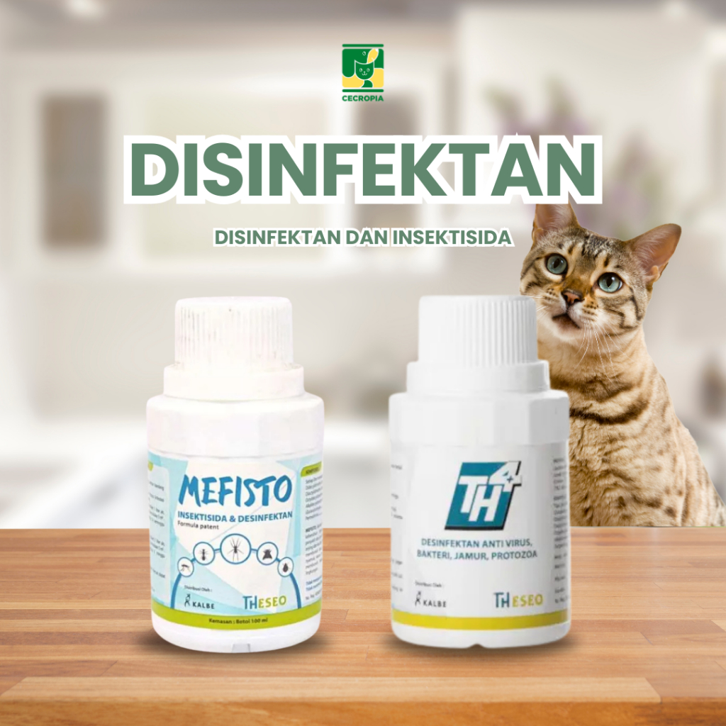 Jual DESINFEKTAN ( mefisto & TH4 ) | Shopee Indonesia