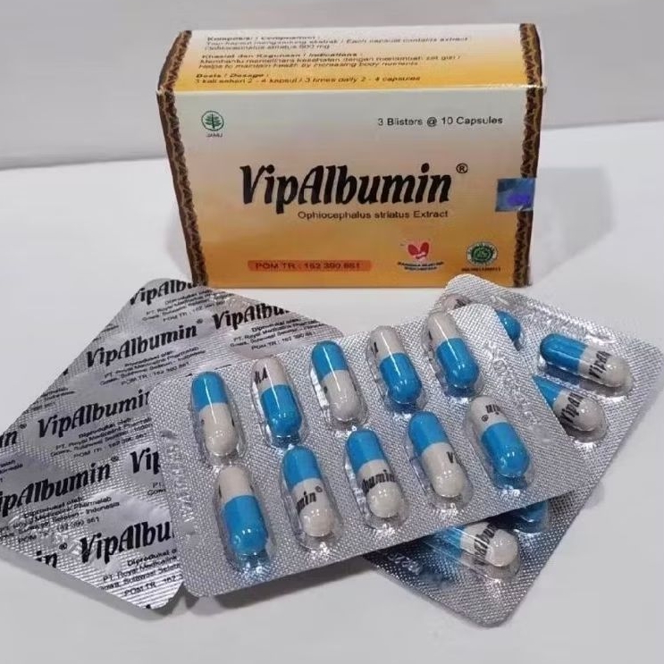 Jual VIPALBUMIN STRIP 10 KAPSUL ( VIP ALBUMIN) | Shopee Indonesia