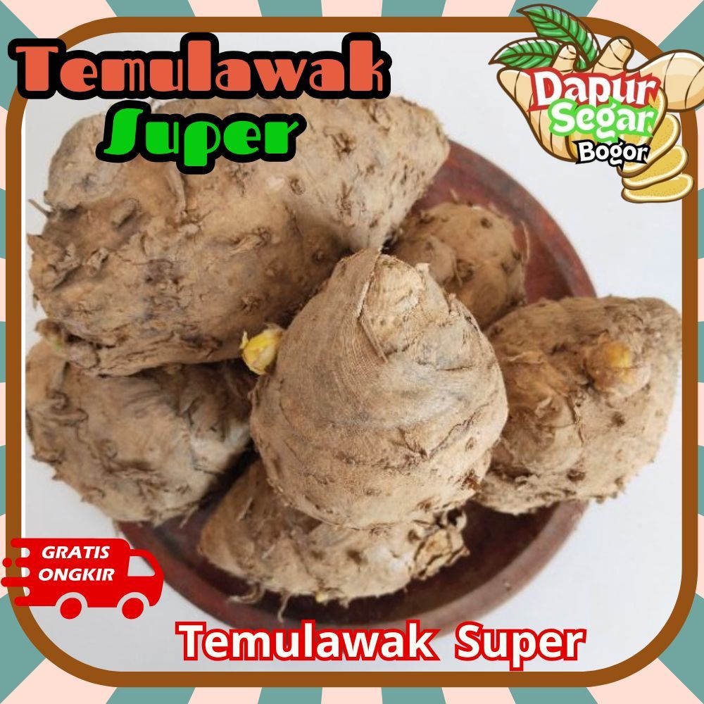 Jual Temulawak segar 1kg Temu Lawak asli original bibit kuning utuh ...