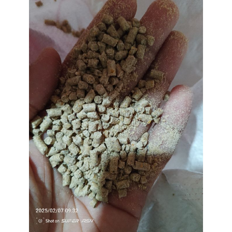 Jual Pakan Ayam Pur Babi kemasan 1Kg | Shopee Indonesia