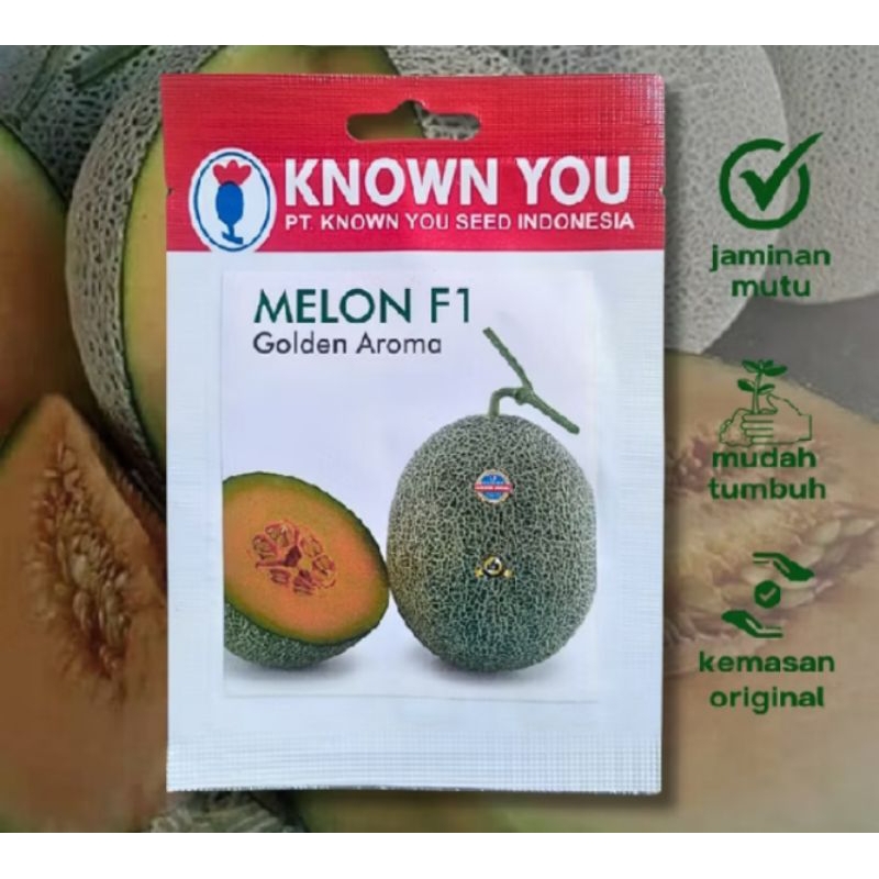 Jual 100 Biji Bibit Buah Melon Golden Aroma F1 Original | Shopee Indonesia