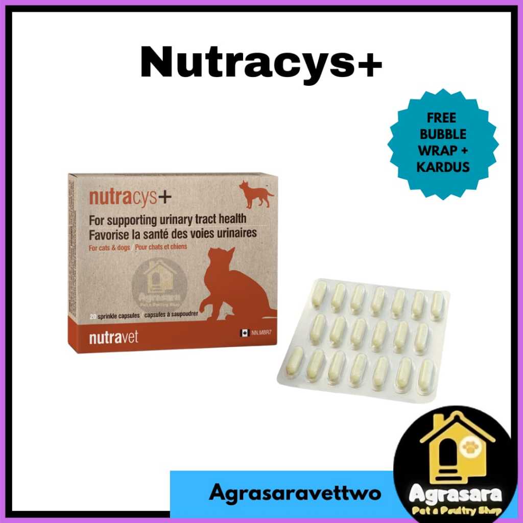 Jual Nutracys+ Plus Urinary Tract (1 KAPSUL) -LIKE CYSTAID obat Masalah ...