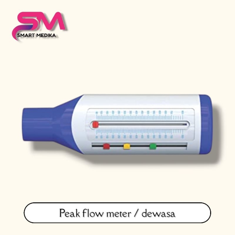 Jual Peak And Flow Meter Manual Spirometer Portable Peak And Flow Dewasa Shopee Indonesia
