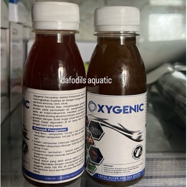 Jual Probiotic Bakteri Starter Bacteria Starter Oxygenic 100 ml untuk ...
