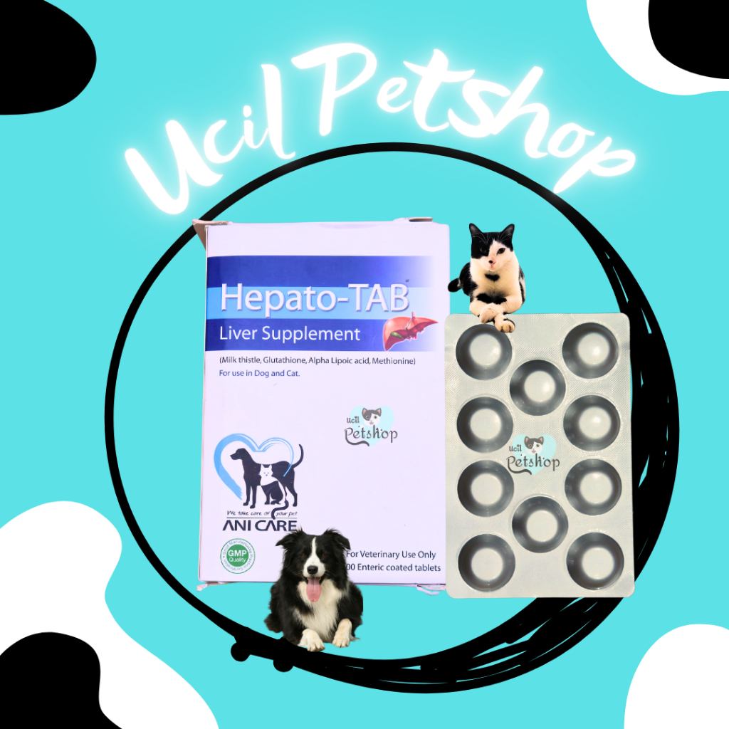Jual HEPATO TAB Liver Supplement Vitamin Cat Dog / Hepatic (Samylin ...