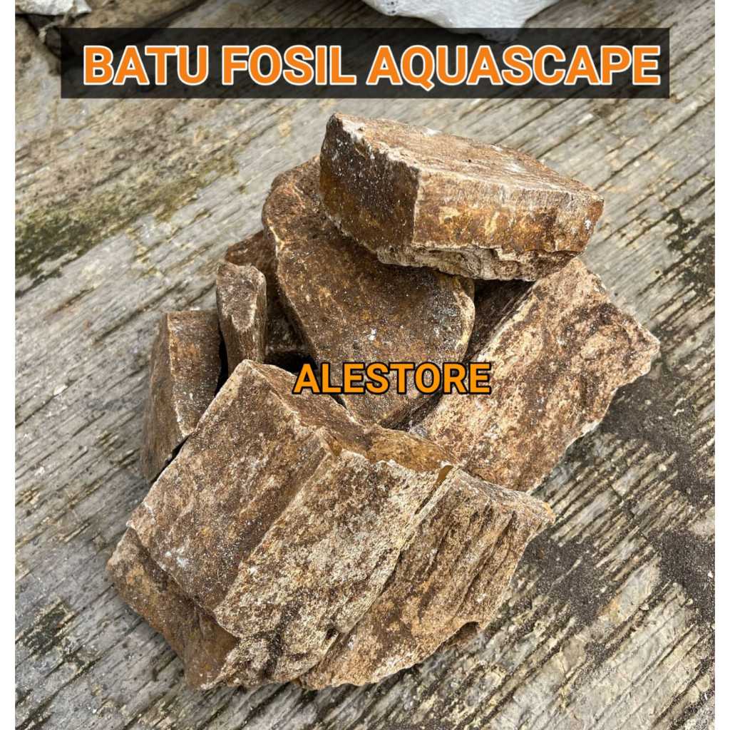Jual Batu Fosil Kayu Aquarium Batu Aquascape 1kg | Shopee Indonesia