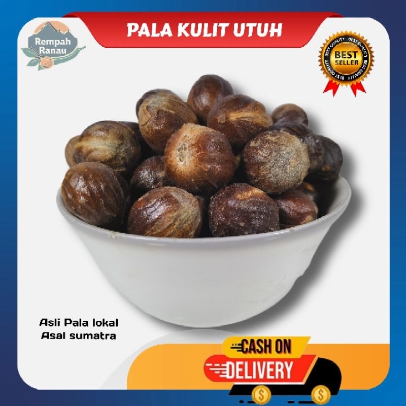 Jual Biji buah pala kering 1kg | Buah pala kulit kering Asal Sumatra ...
