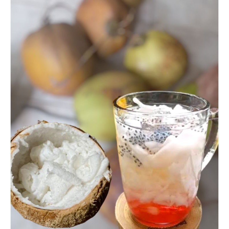 Jual Buah kelapa kopyor asli seger gurih manis kualitas super. | Shopee ...