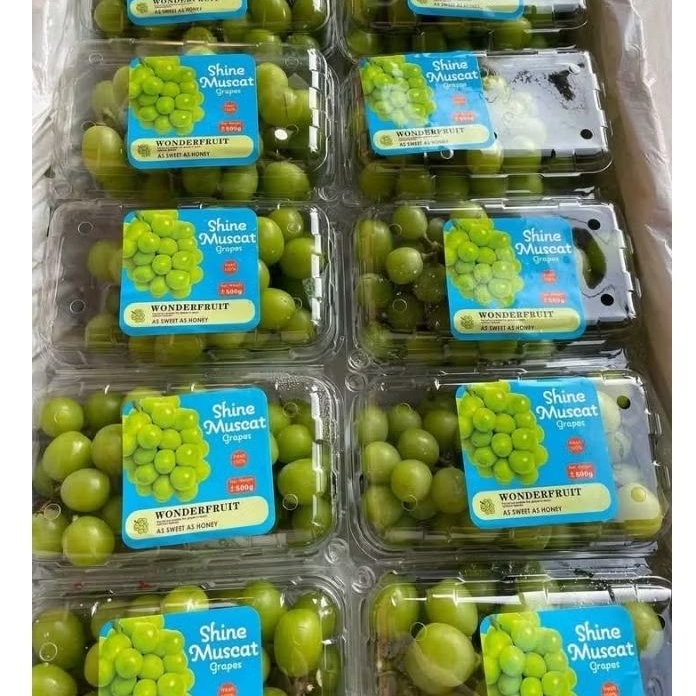 Jual ANGGUR SHINE MUSCAT PER DUS ISI 10 PACK | Shopee Indonesia