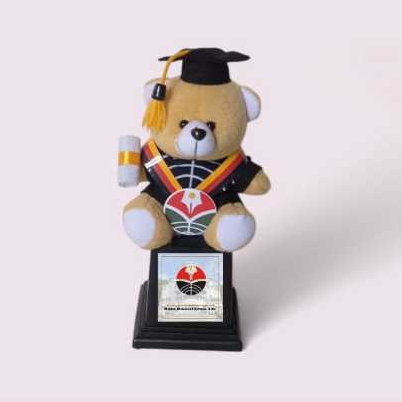 Jual Piala Boneka Wisuda Premium UPI | Trophy Boneka Bisa Request Nama ...