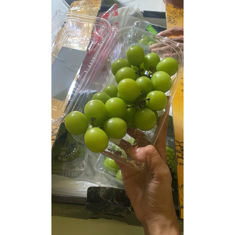 Jual Anggur Muscat pack 1dus isi 10pack | Shopee Indonesia