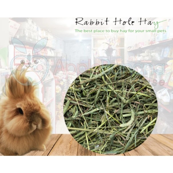 Jual Rumput Timothy Hay Rabbit Hole Hay RHH 1kg | Shopee Indonesia