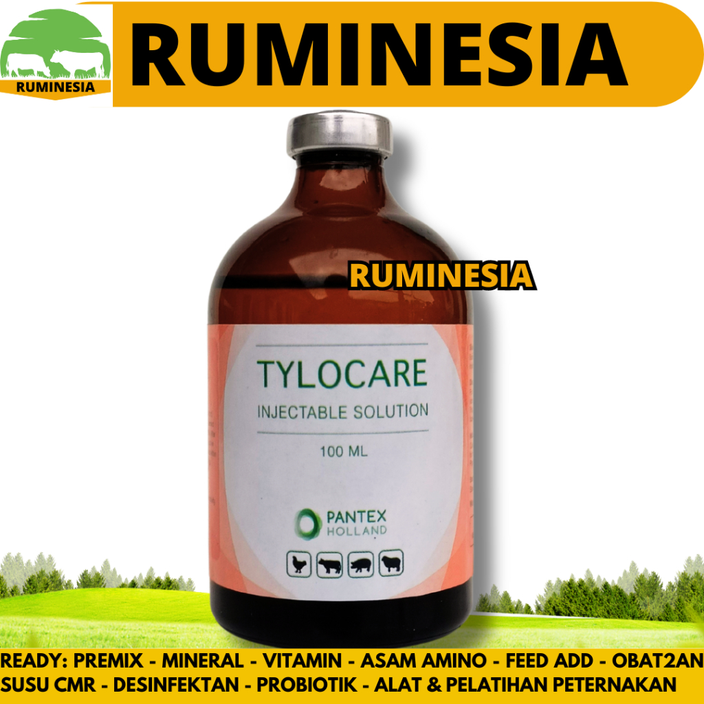 Jual TYLOCARE 100ML PANTEX HOLLAND - Tylosin Obat Antibiotik Pernafasan ...