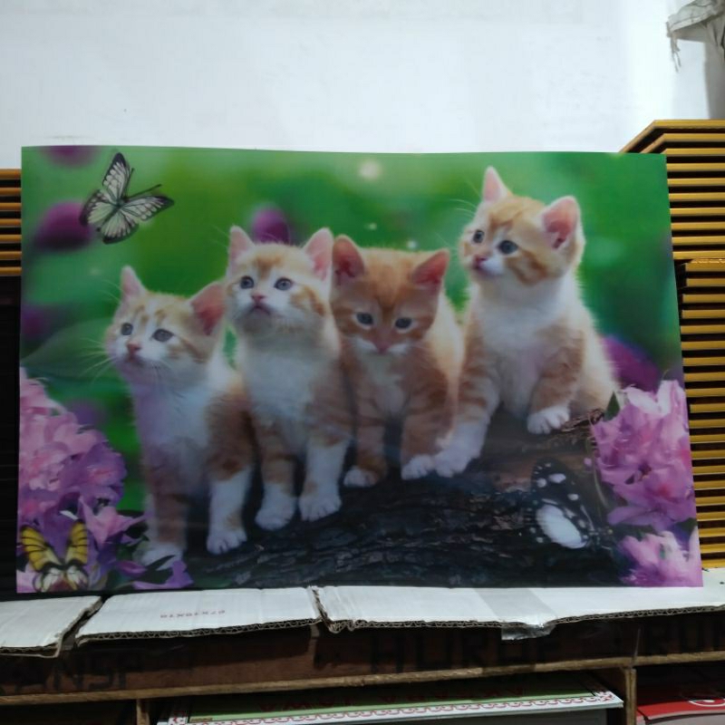 Jual POSTER 3 DIMENSI KUCING LUCU UKURAN 38X58 CM (TERLIHAT NYATA ...