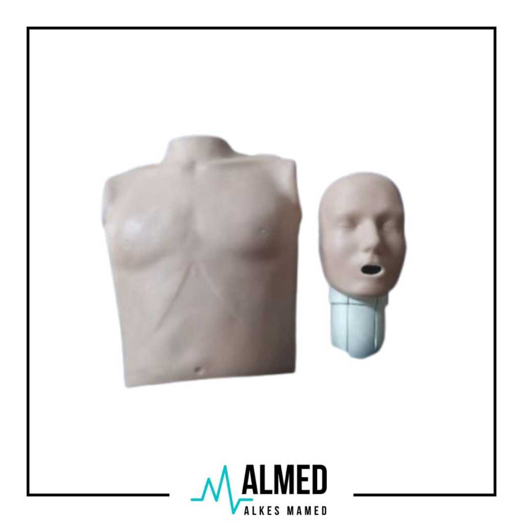 Jual MANIKIN PRESTAN CPR/PHANTOM CPR/PRESTAN CPR/MANIKIN RJP/PHANTOM ...