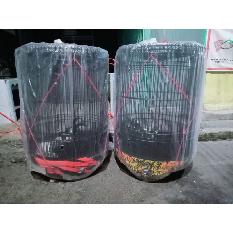 Jual murai isi 2 merek Rafi jaya | Shopee Indonesia