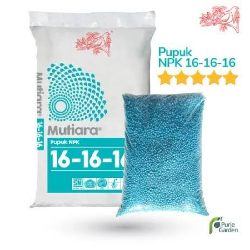 Jual Pupuk NPK 16 Rabok Pertumbuhan Fase Vegetatif & Generatif Tanaman ...