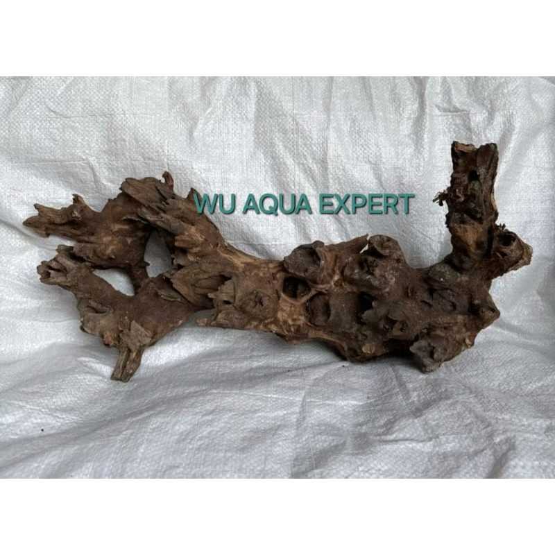 Jual Kayu Rentek Super Grade A Tenggelam Aquascape Aquarium Kolam ...