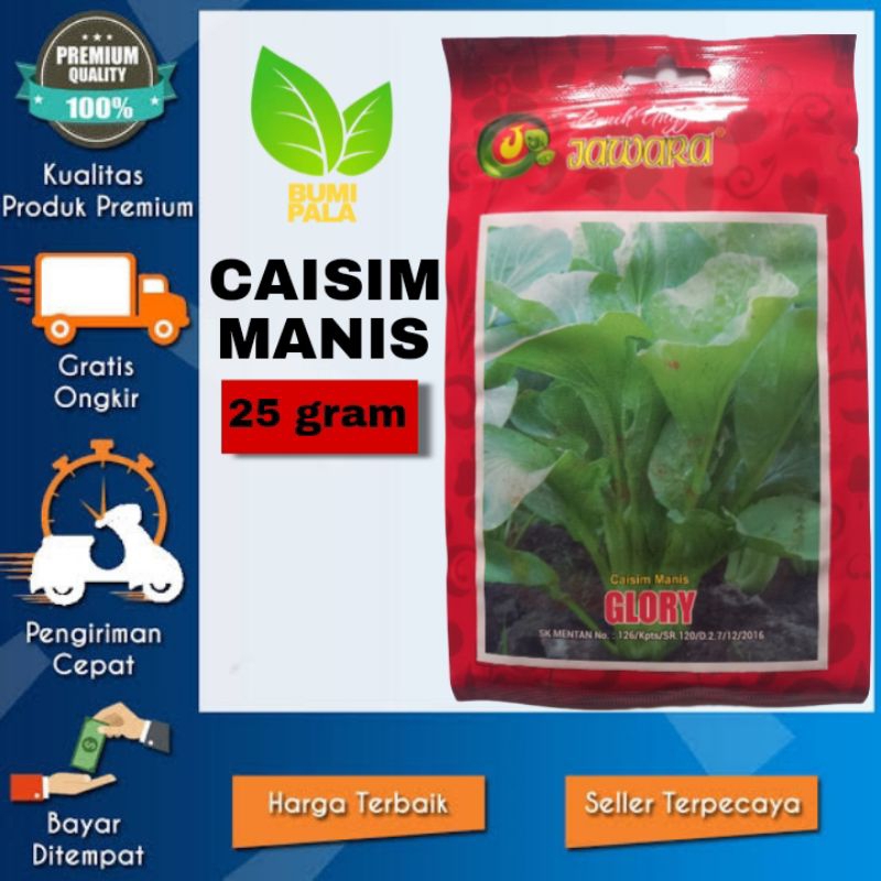 Jual BIBIT BENIH CAISIM MANIS GLORY 25 GRAM DARI JAWARA | Shopee Indonesia