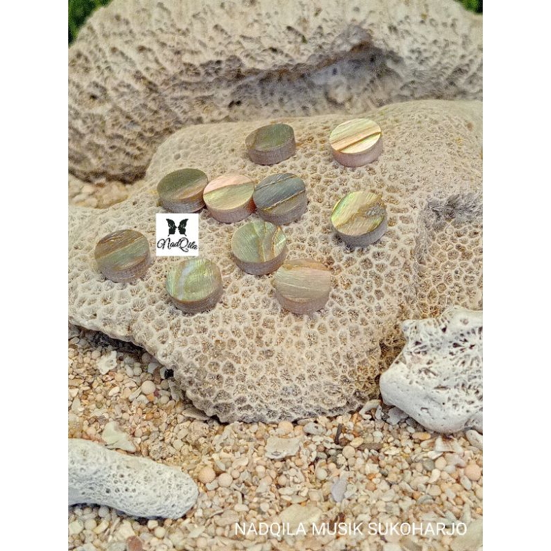 Jual Pua Abalone Shell Dot Inlay Original Import Penanda Nada Fretboard ...