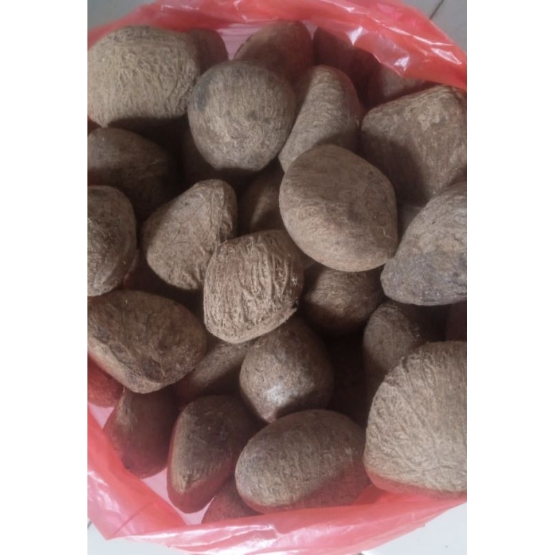 Jual KLUWEK KLUEK PUCUNG PICUNG KLUWAK KEPAYANG 1kg | Shopee Indonesia