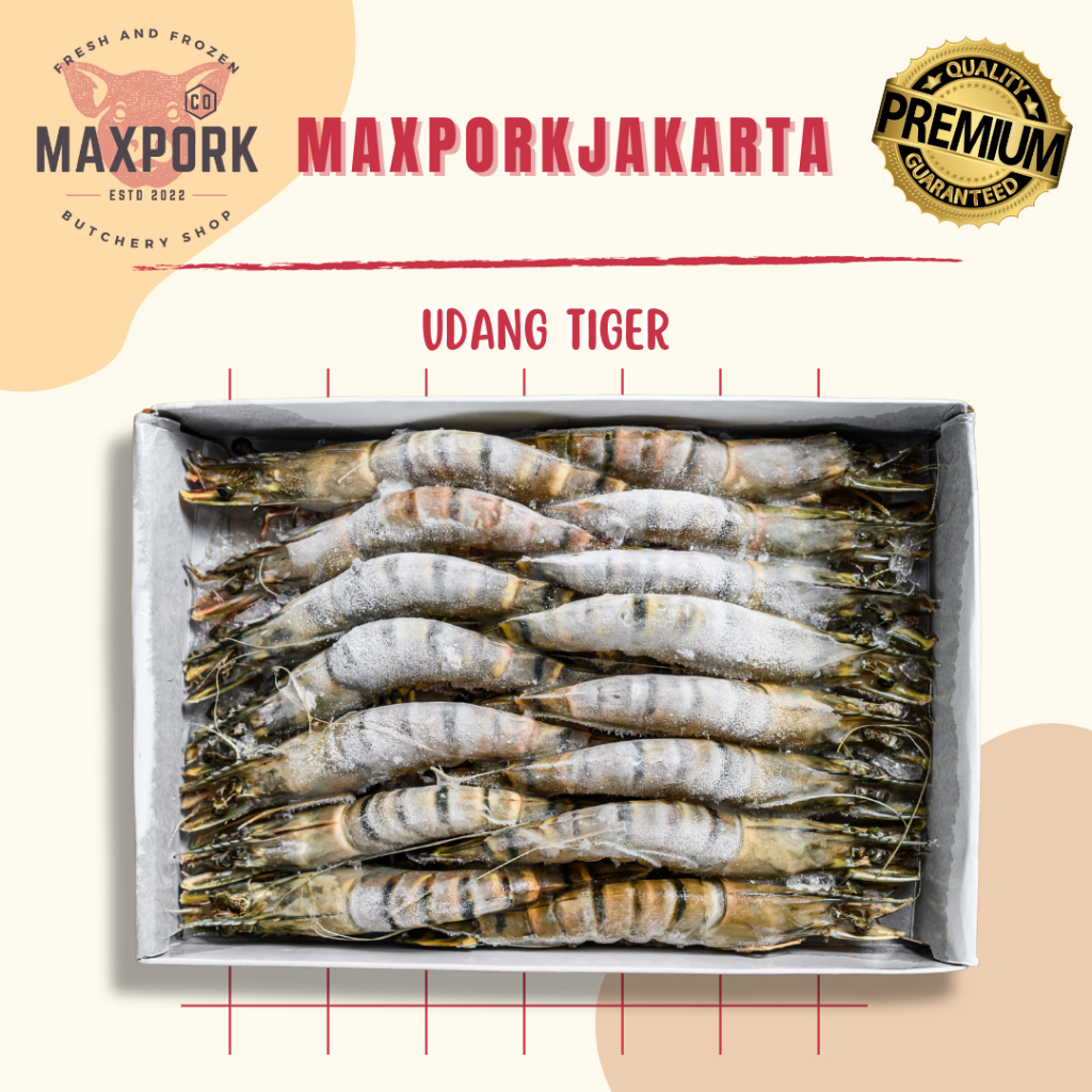 Jual Udang Tiger / Udang Windu / Black Tiger Prawn / Fresh Segar Frozen ...